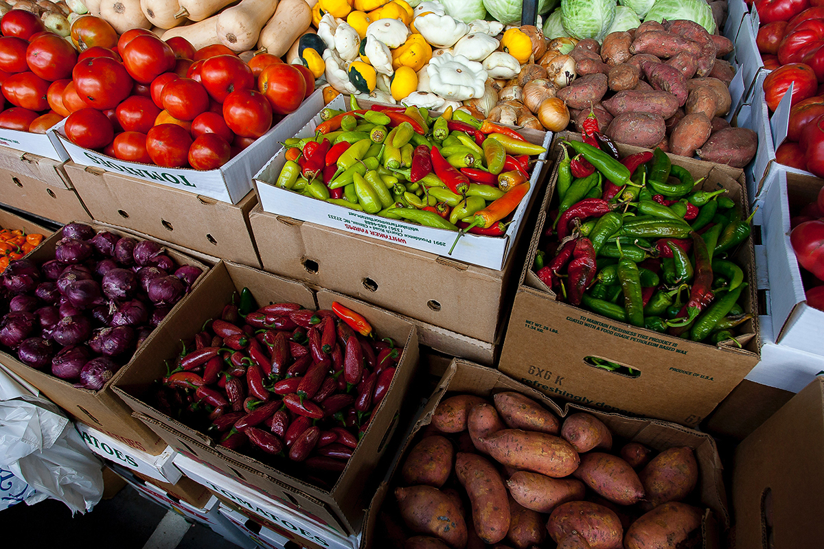 Exploring Sustainable Food Choices: A Guide for Students